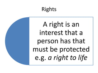 Personhood summary | PPTX