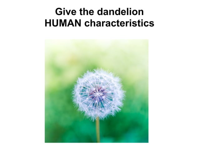 Personification | PDF | Art and Photography | Books and Literature