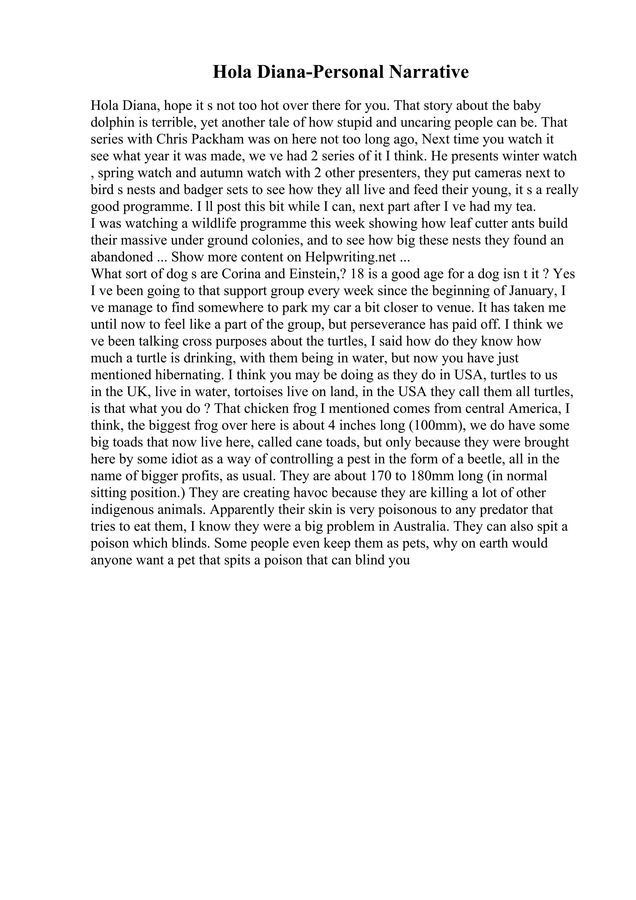 Personification Essay. Metaphor vs. Personification Grammar Rules ...