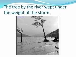 Personification | PPTX