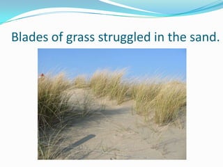 Personification | PPTX