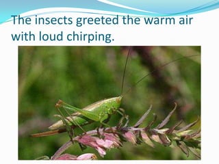 Personification | PPTX