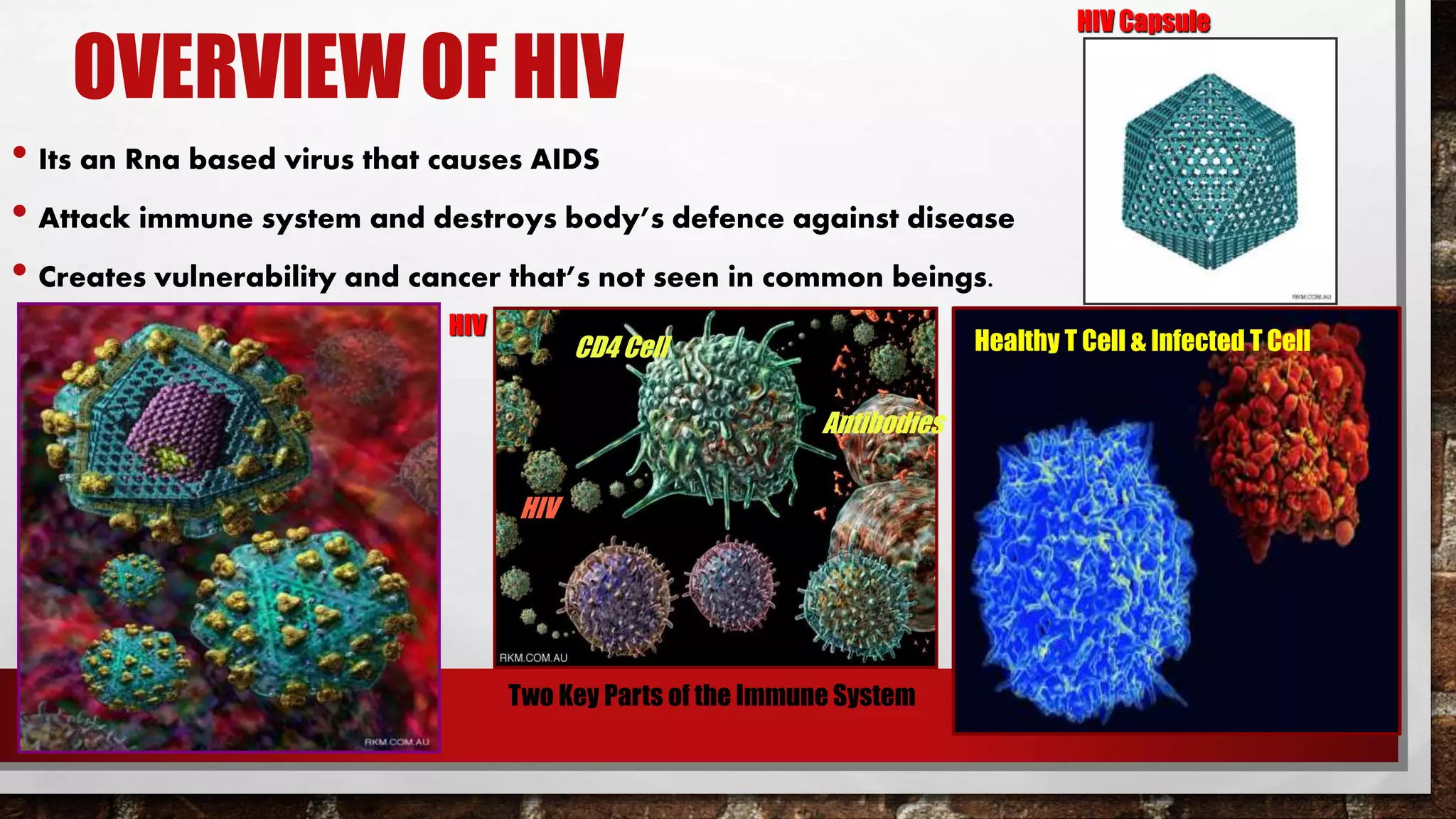 Personized hiv therapy ppt | PPTX