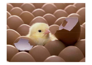 Personlig branding og gennemslagskraft | PDF