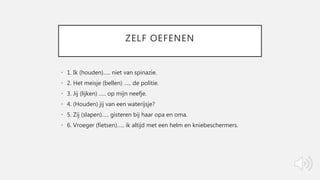 Persoonsvorm instructie | PPTX