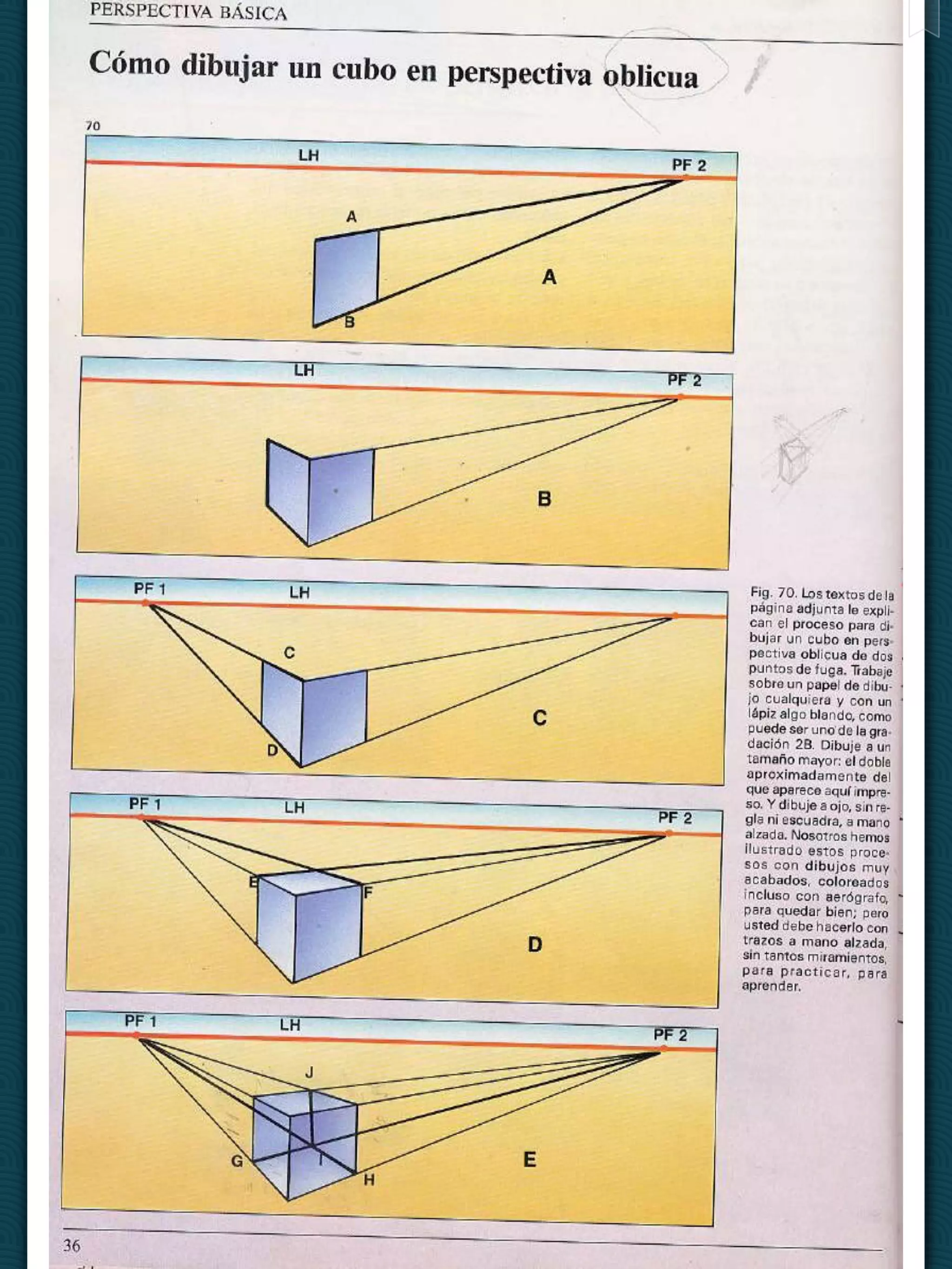 Perspectiva basica | PDF