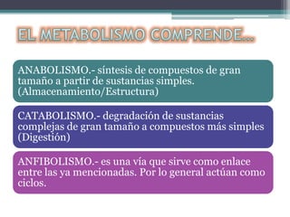 Perspectiva general del metabolismo | PPTX