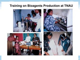 Perspective of village based biological control units for marginal and ...