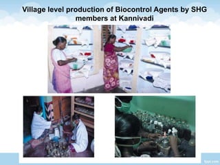 Perspective of village based biological control units for marginal and ...