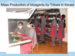 Perspective of village based biological control units for marginal and ...