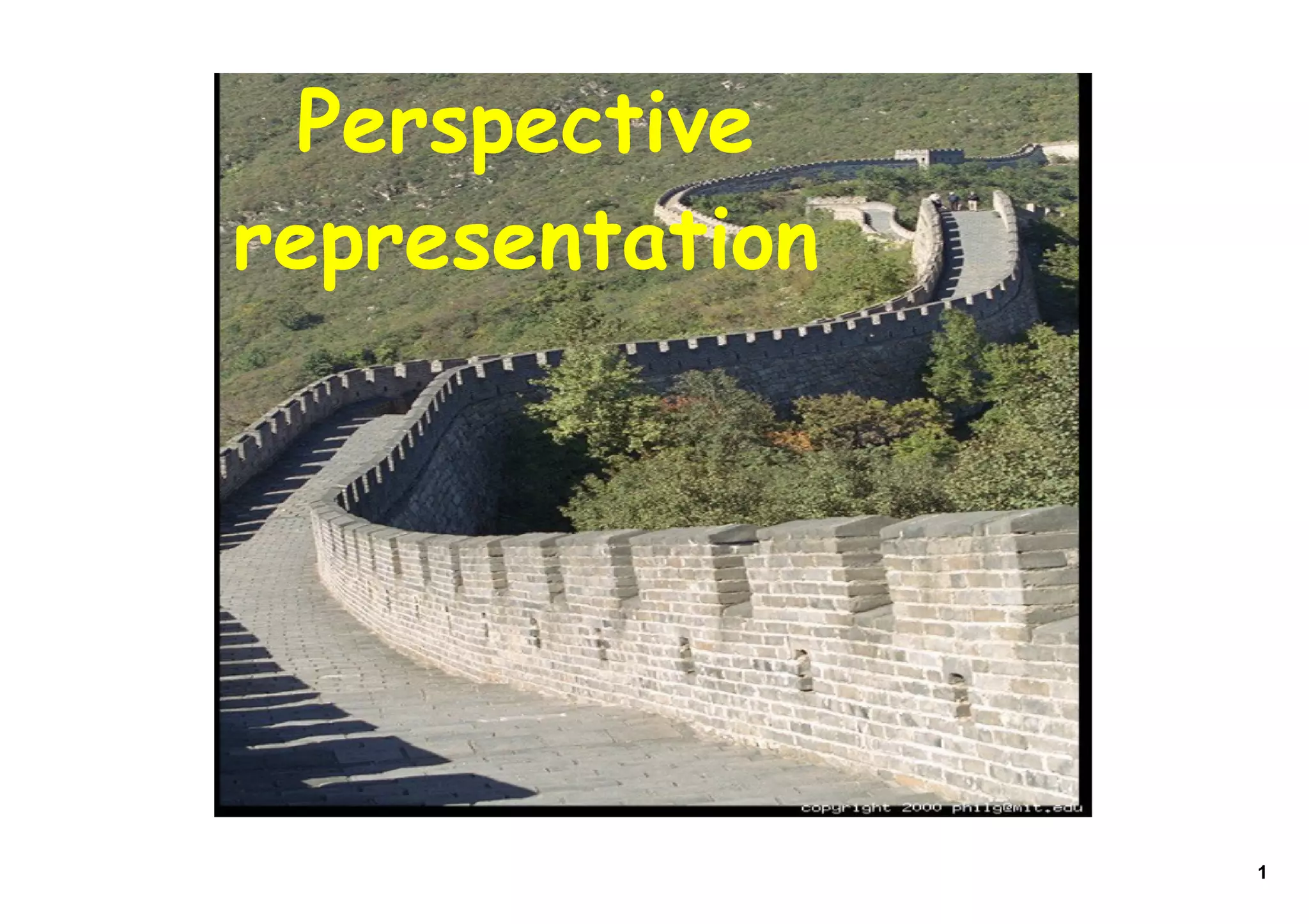 Perspective Representation | PPT