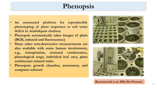 Perspectives and Challenges of Phenotyping in Crop Improvement. - Copy.pptx | Agriculture ...