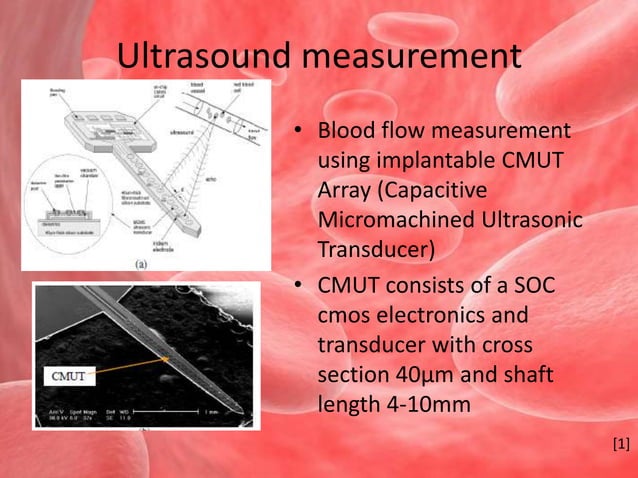 Perspectives in blood flow measurement | PPTX | Physics | Science