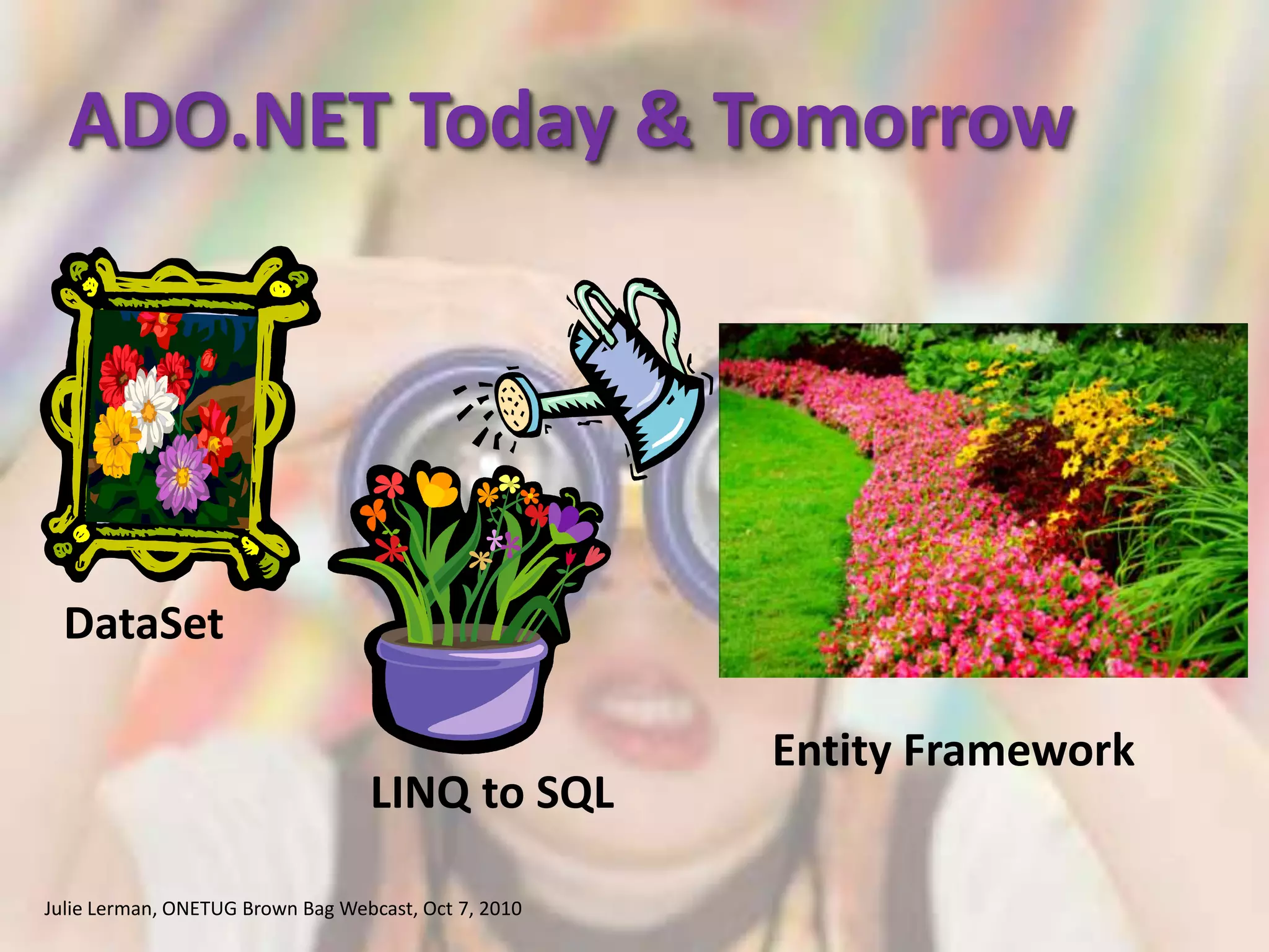 Perspectives on Entity Framework, Julie Lerman | PPT