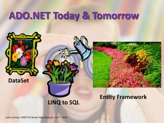 Perspectives on Entity Framework, Julie Lerman | PPTX