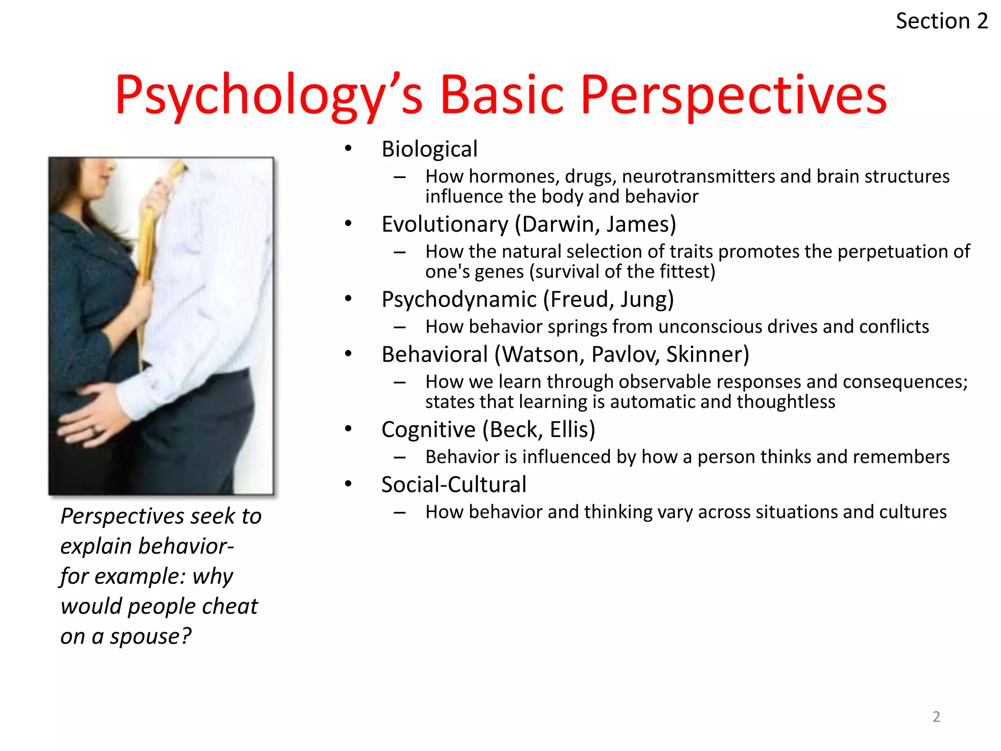 Perspectives & subfields ss | PPT