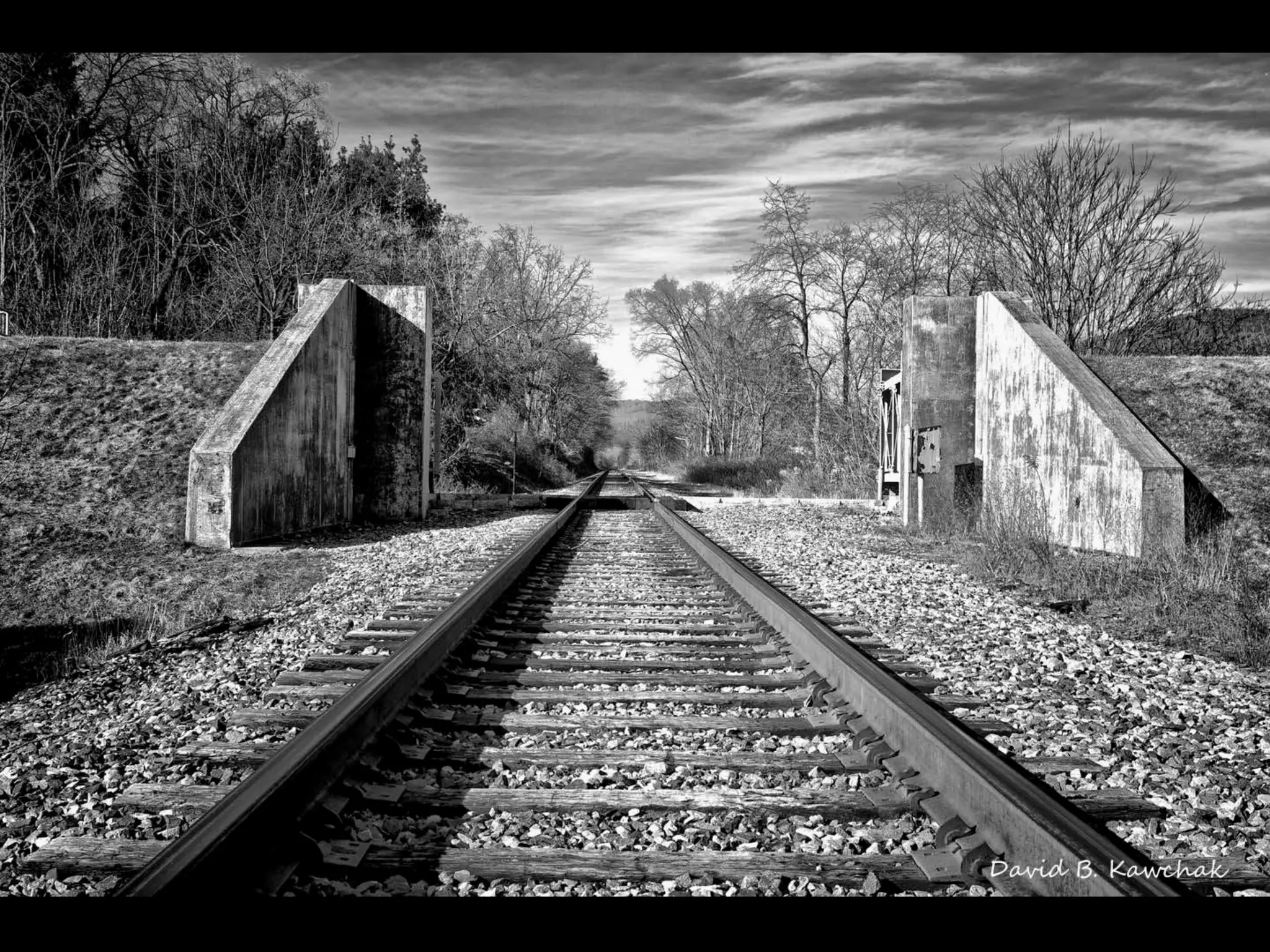 Perspective Van Gogh | PPTX