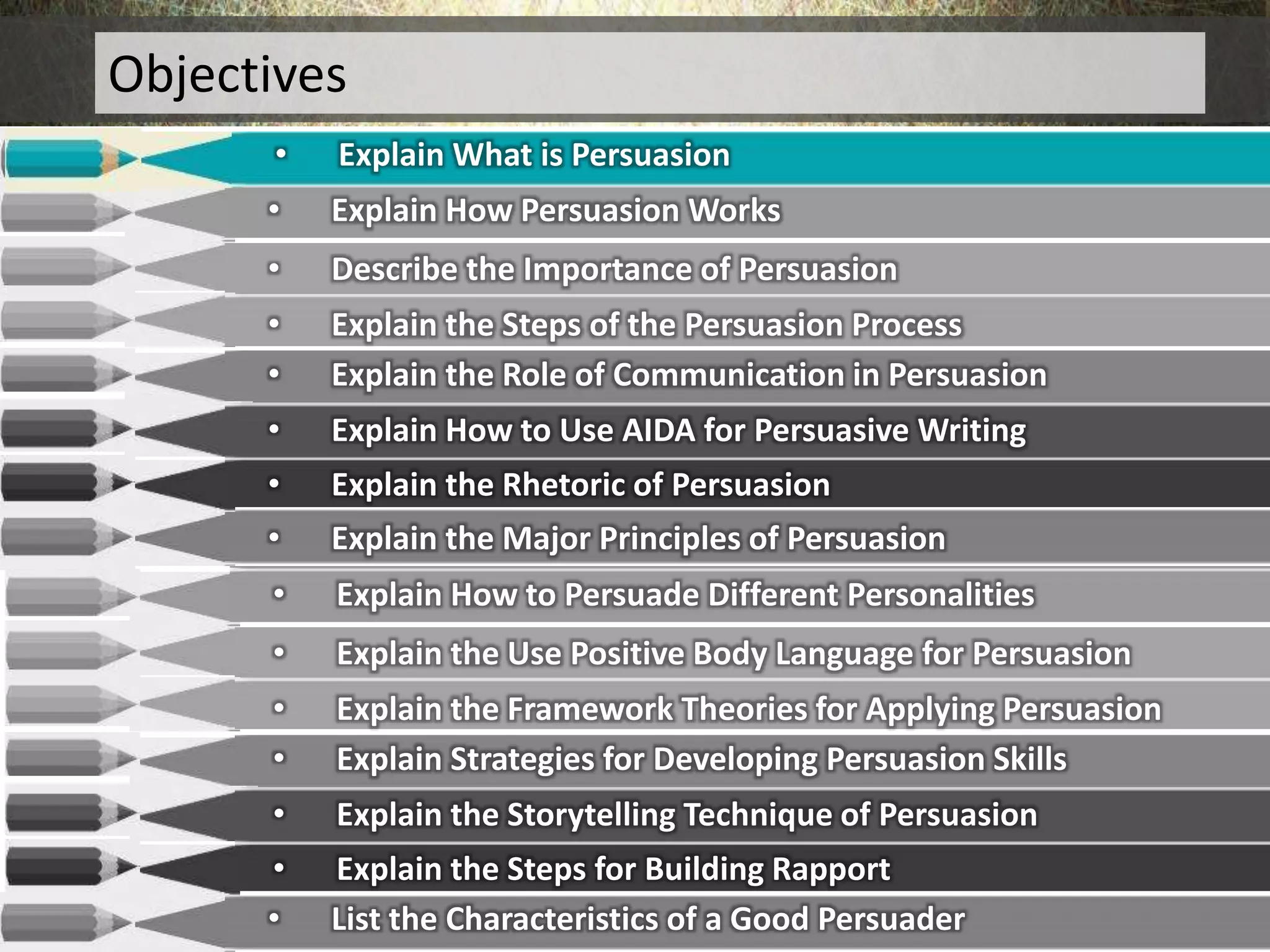 Persuasion Skills Basics | PPTX