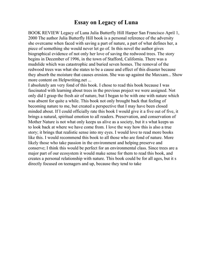 Persuasive Essay Paper | PDF