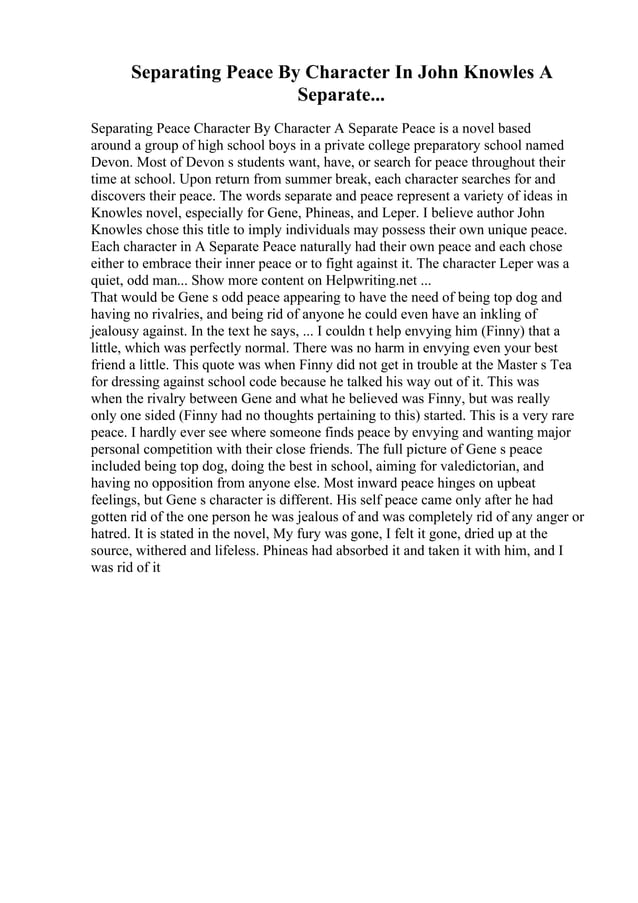 Persuasive Essay Paper | PDF