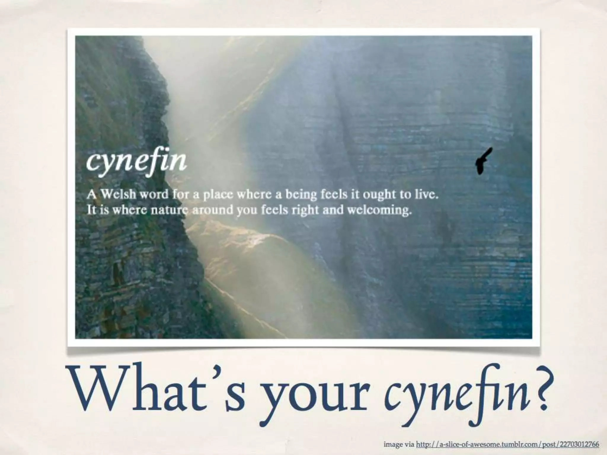 Persuasive & expository prompts | PPTX