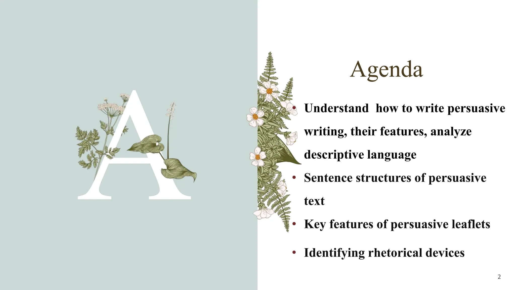 Persuasive writing for IGCSE preparation | PPTX