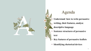 Persuasive writing for IGCSE preparation | PPTX