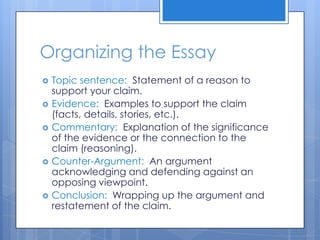 Persuasive Essay Powerpoint | PPTX