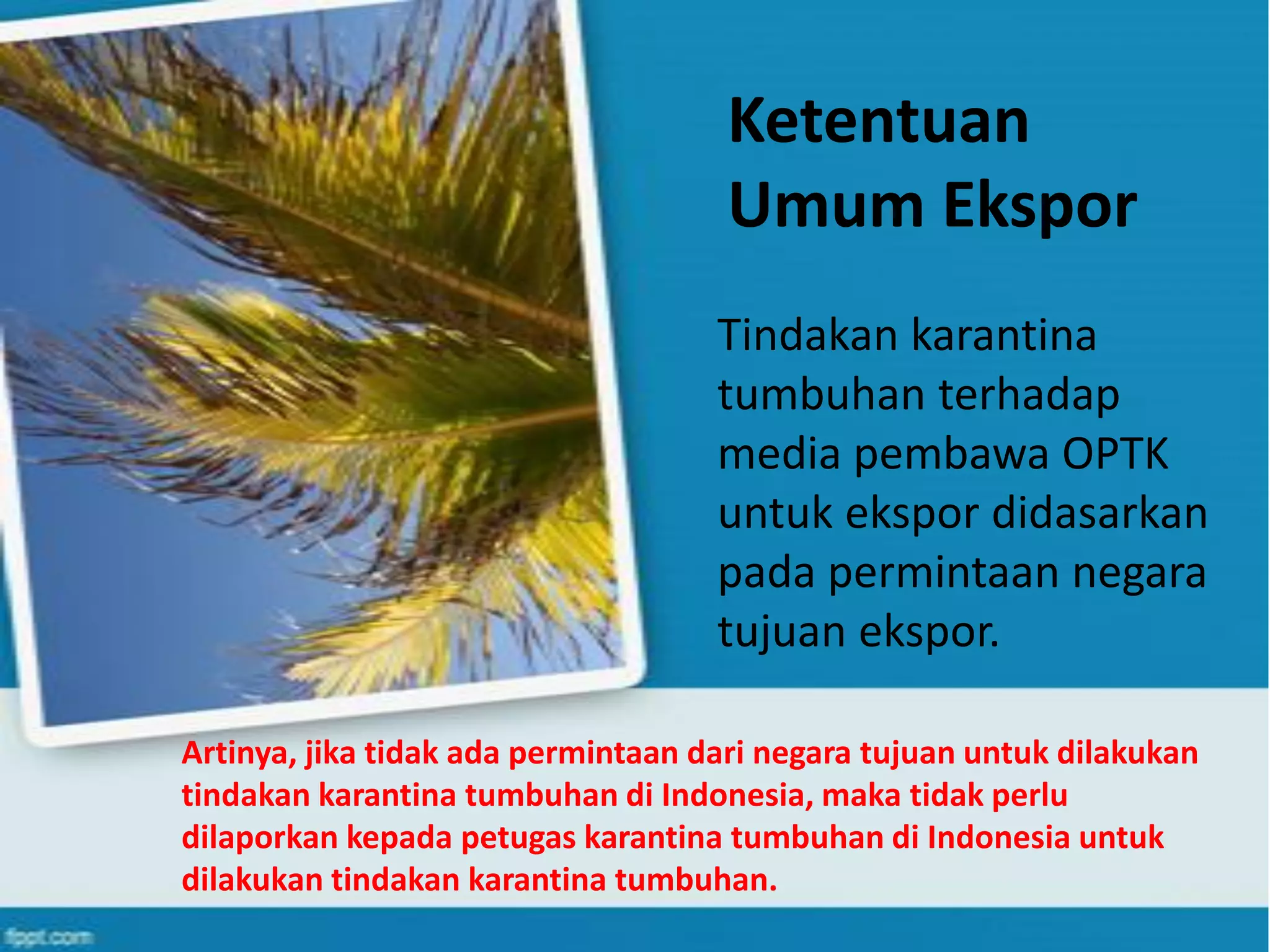 Persyaratan ekspor & antar area | PDF