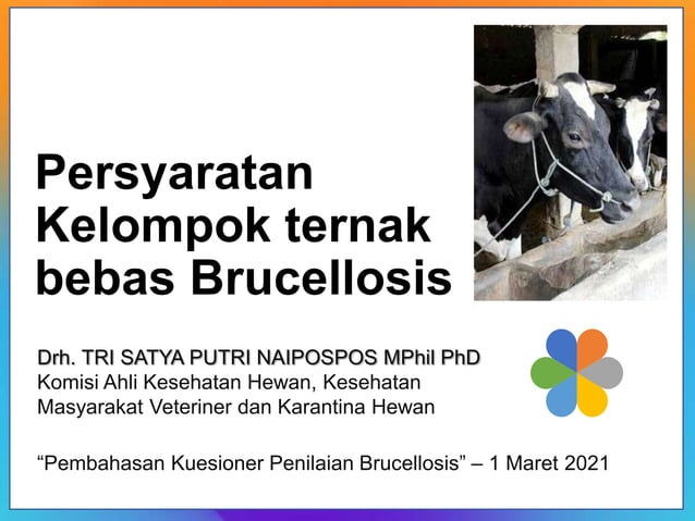 Persyaratan Kelompok Ternak Bebas Brucellosis - Presentasi Zoom, 1 ...
