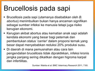 Persyaratan Kelompok Ternak Bebas Brucellosis - Presentasi Zoom, 1 ...
