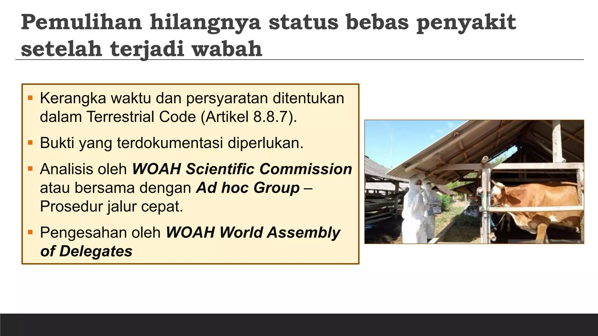 Persyaratan Negara atau Zona Bebas PMK Menurut WOAH - Ditkeswan-AIHSP ...