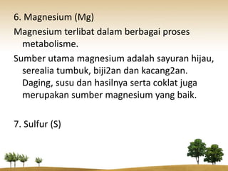 Mineral Dalam Gizi dan Diet | PPTX