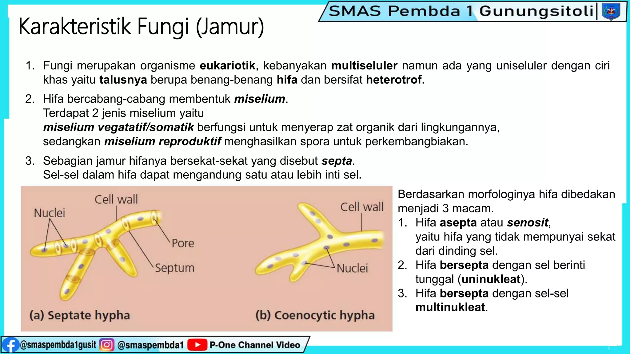 Pert. 1 Karakteristik Fungi (Jamur).pptx