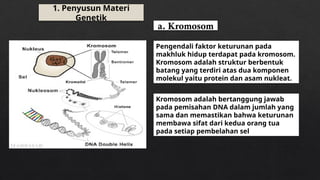 PERT. KE 1 Materi Genetik sebagai Dasar Pewarisan Sifat.pptx
