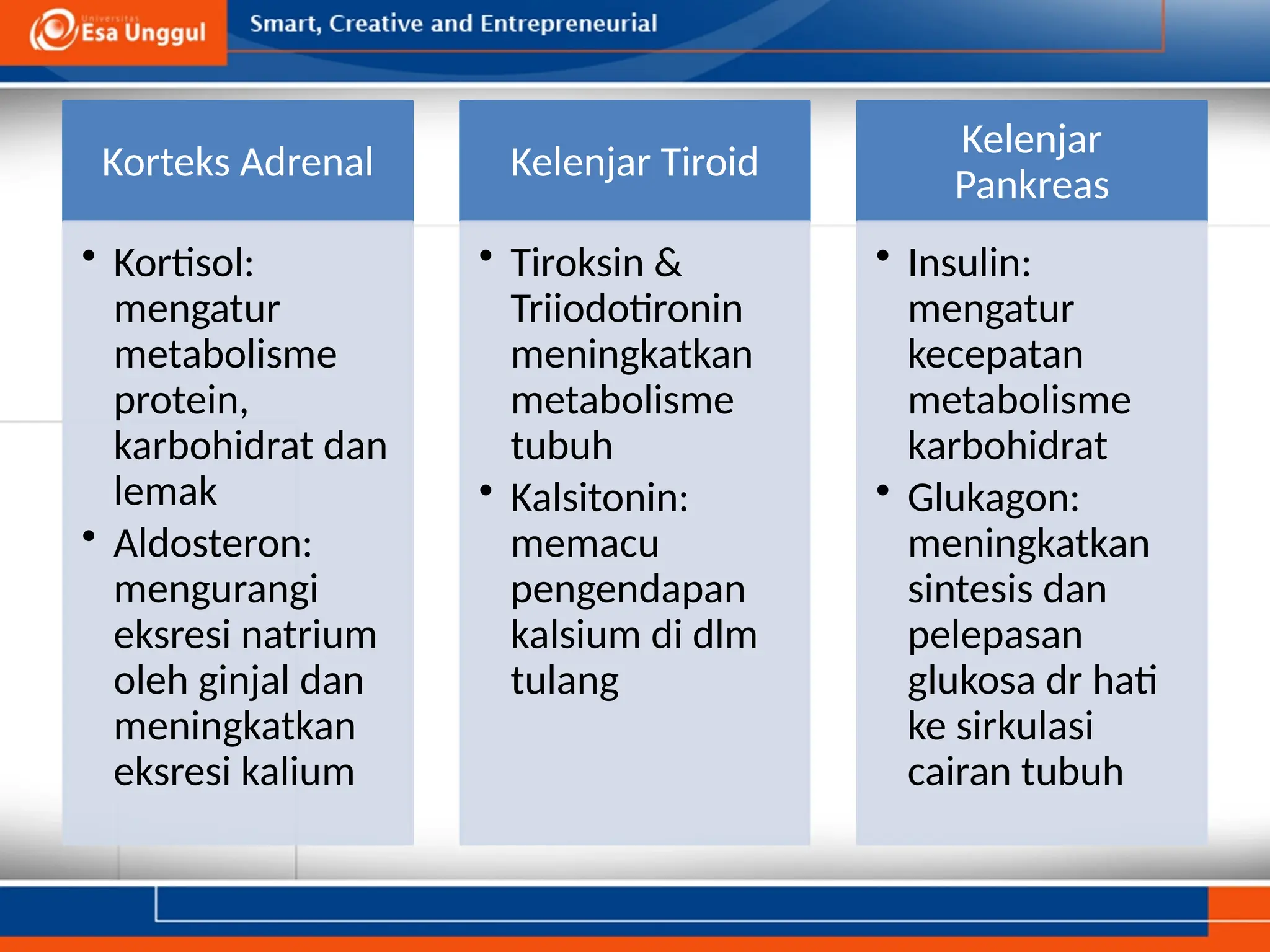 sistem endokrin pada manusia yang sangat penting perannya | PPTX