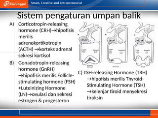 sistem endokrin pada manusia yang sangat penting perannya | PPTX