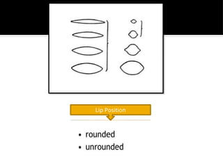 To articulate a vowel sound, the tongue, jaw and lips are placed to create a tube between larynx ...