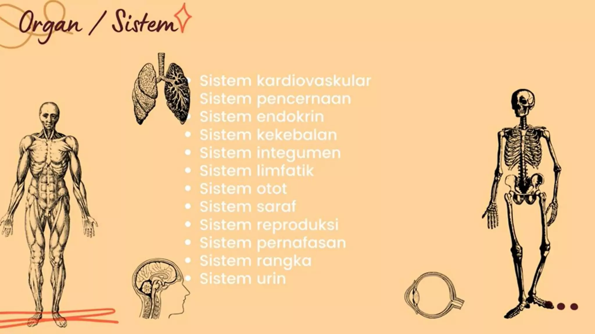 Pert 1 Dasar Anatomi Fisiologi Manusia.pdf