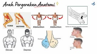 Pert 1 Dasar Anatomi Fisiologi Manusia.pdf