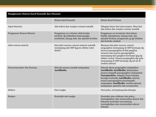 Pert_4_SISTEM_SARAF_PERIFER_SOMATIK_and.ppt