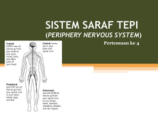 Pert_4_SISTEM_SARAF_PERIFER_SOMATIK_and (1).ppt