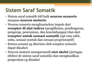 Pert_4_SISTEM_SARAF_PERIFER_SOMATIK_and (1).ppt