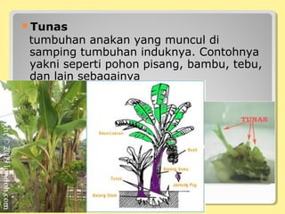 Pert 7 reproduksi tumbuhan | PPT