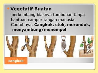 Pert 7 reproduksi tumbuhan | PPT