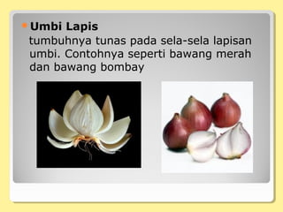 Pert 7 reproduksi tumbuhan | PPT