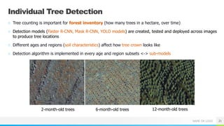 Computer Vision in Remote Sensing Applications | PDF