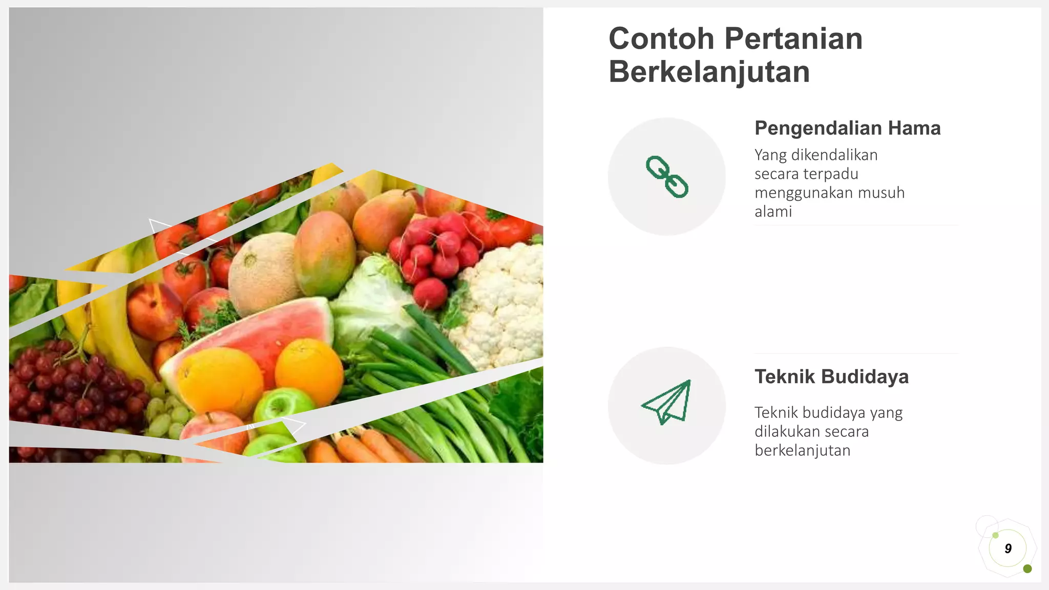 Pertanian berkelanjutan (m. refo aditya n. no.27) | PPTX