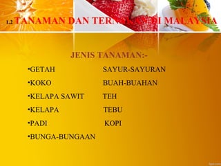 Pertanian di malaysia | PPT