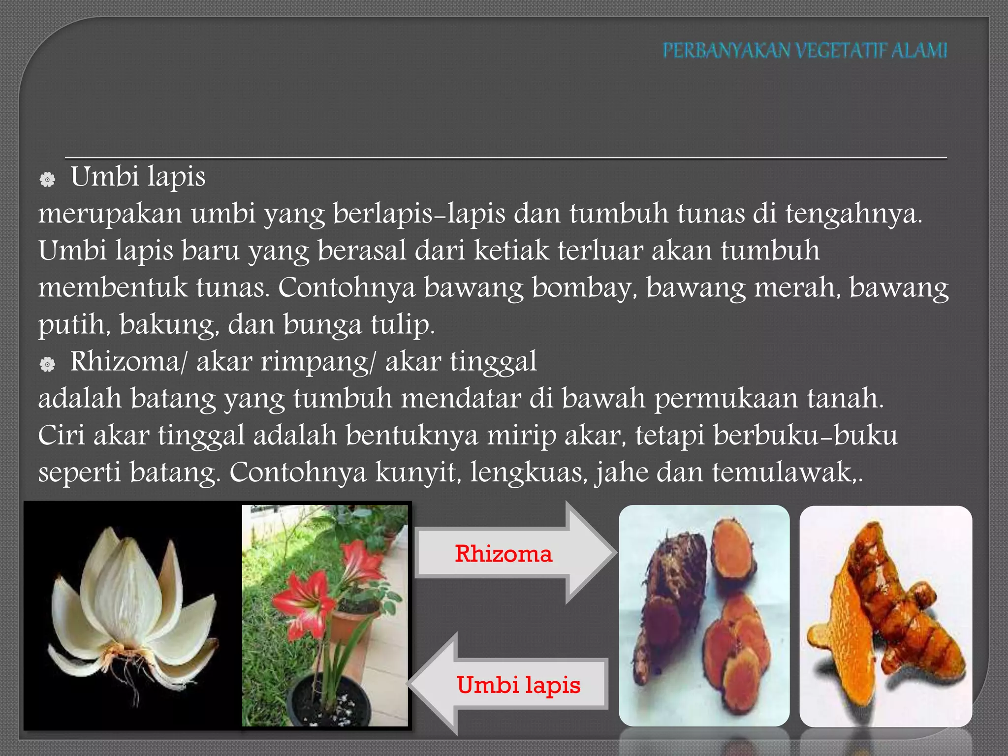 Pertanian organik, fluktuasi harga produk hortikultura dan perbanyakan ...